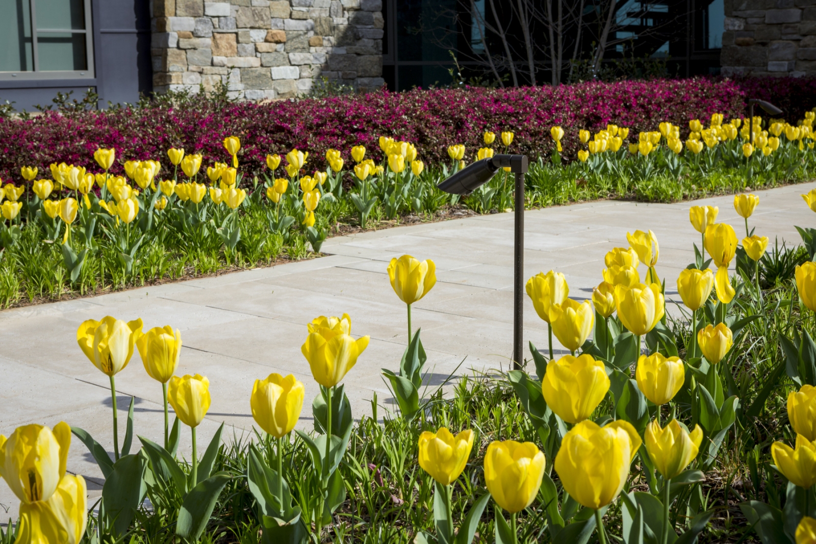 Waterfront - Morgan Landscape Group