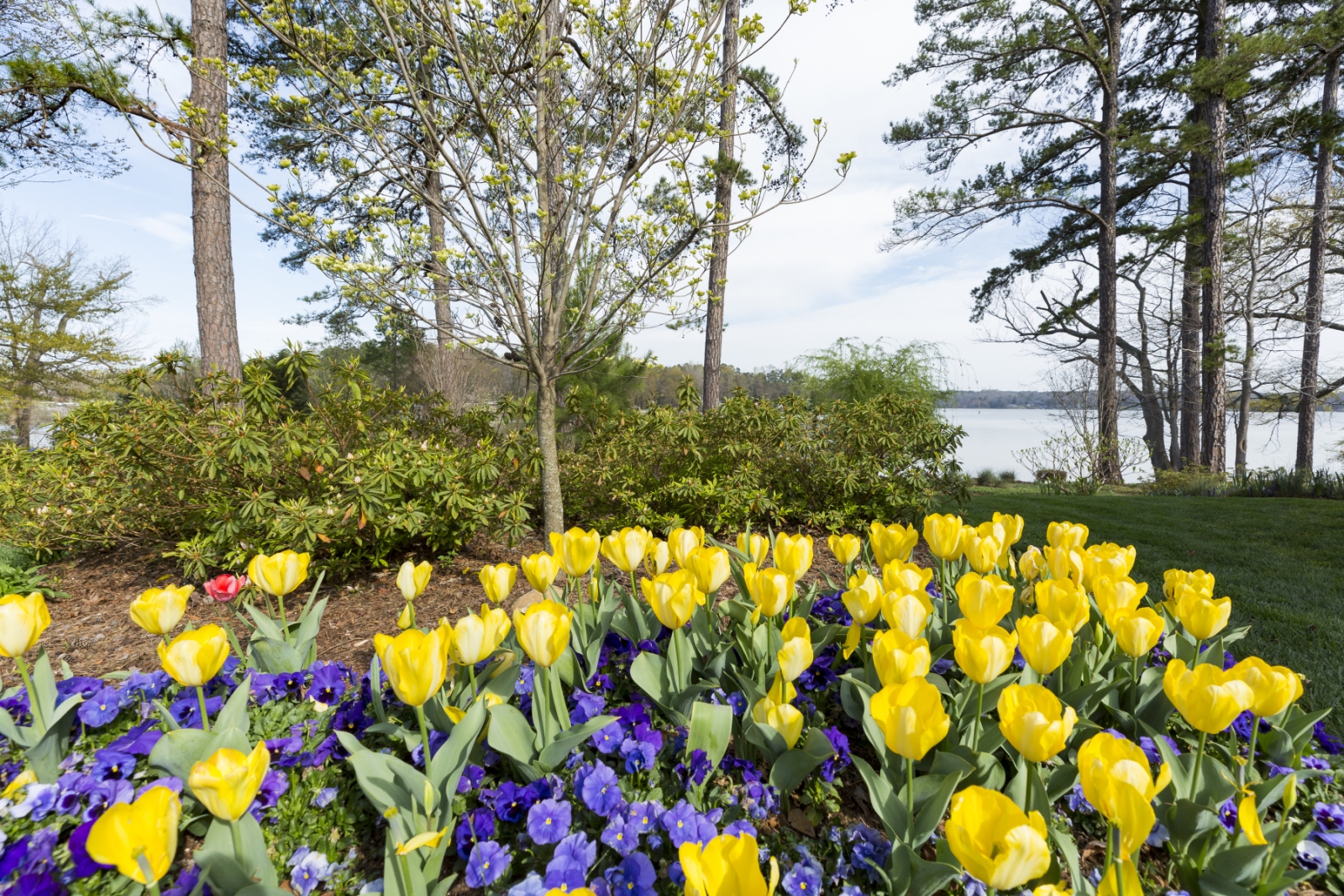 Waterfront - Morgan Landscape Group