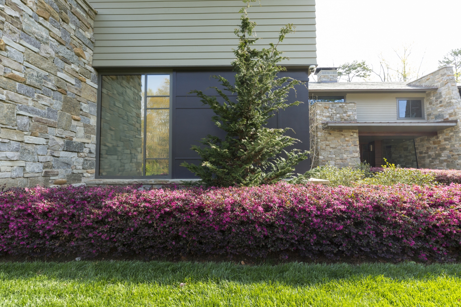 Waterfront - Morgan Landscape Group