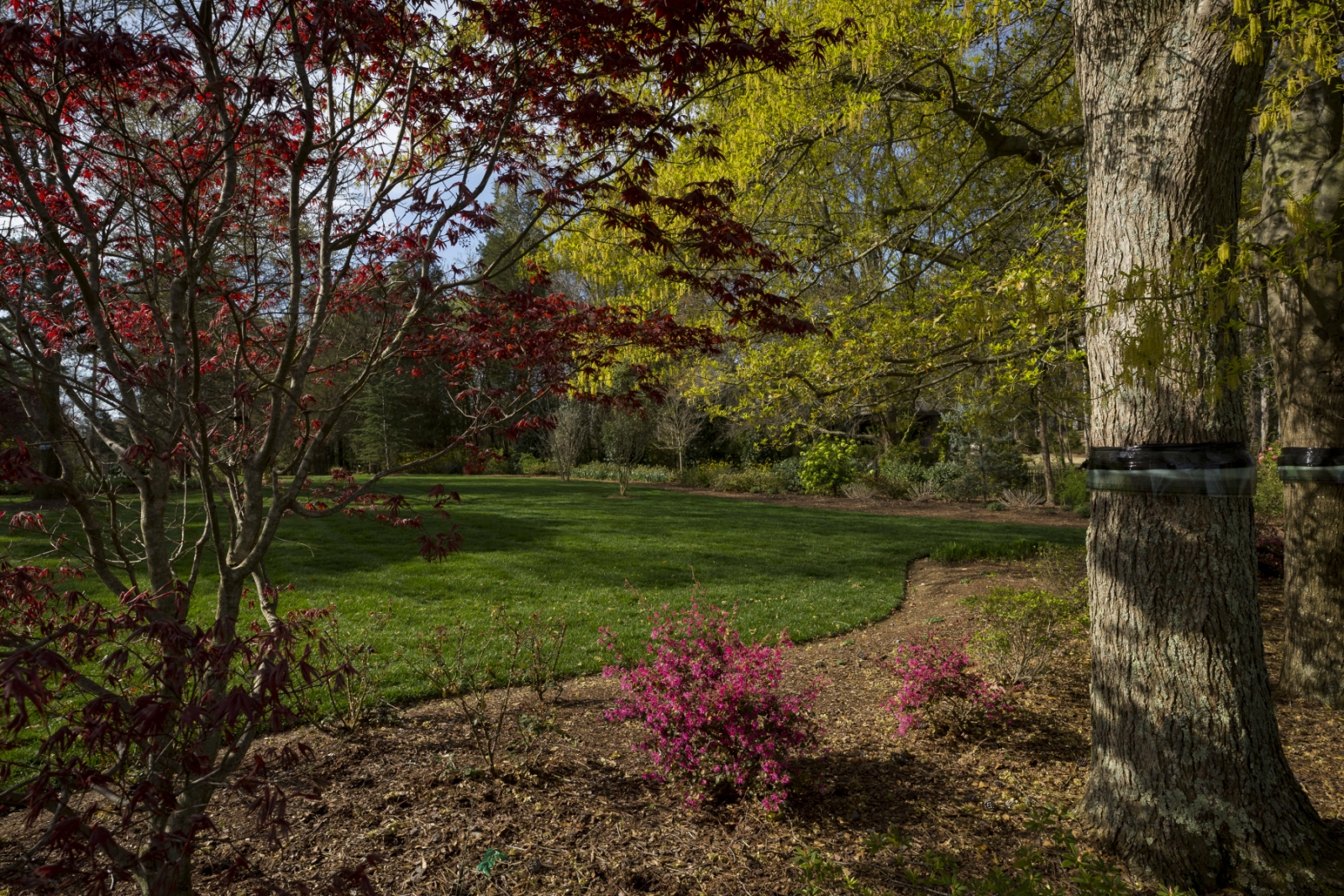 Waterfront - Morgan Landscape Group