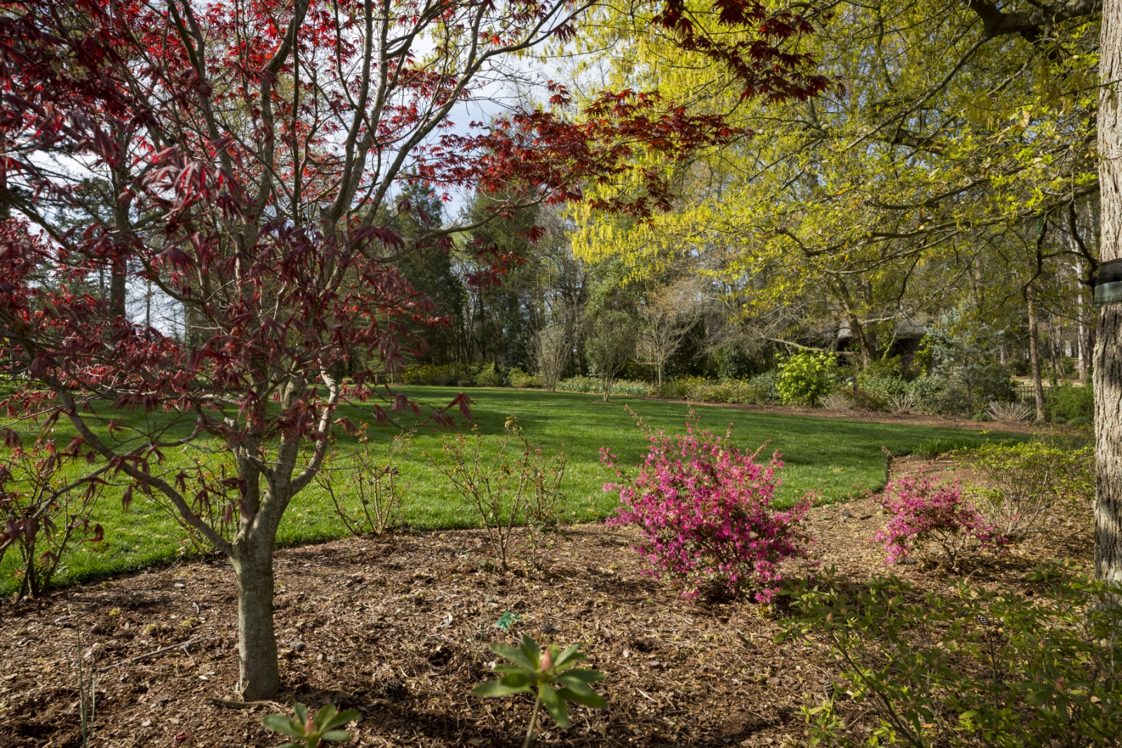 Waterfront - Morgan Landscape Group