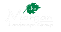 Home - Morgan Landscape Group