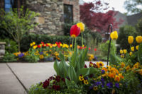 Morgan Landscape Group