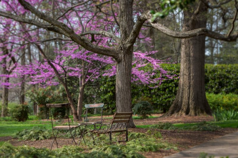 Home - Morgan Landscape Group